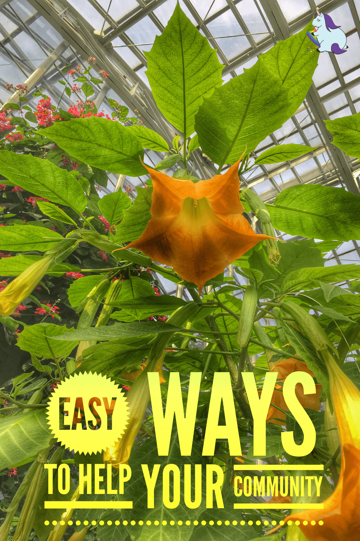 Easy Ways to Help Your Community | A Magical Mess