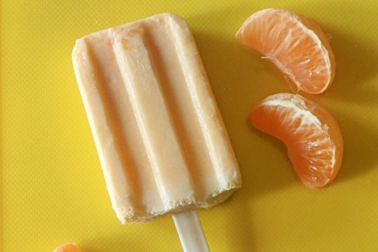 16 Tasty Popsicle Recipes to Cool Down This Summer | A Magical Mess