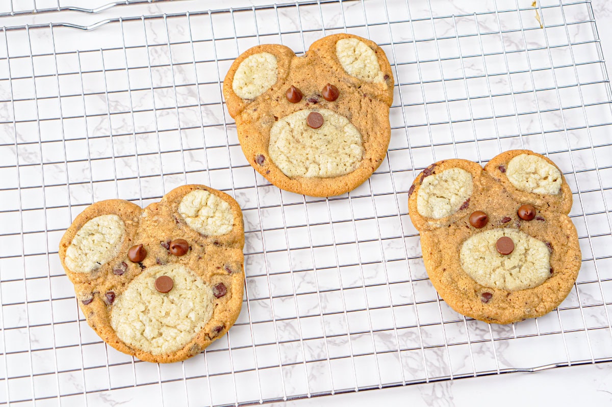 How to Make Teddy Bear Cookies Out of Cookie Dough | A Magical Mess