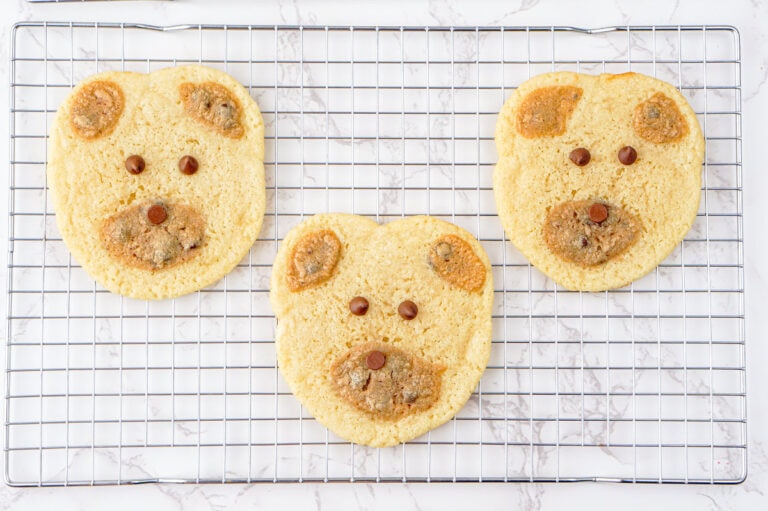 How to Make Teddy Bear Cookies Out of Cookie Dough | A Magical Mess